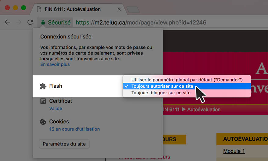 Procédure pour exécuter Flash sur votre navigateur | Université TÉLUQ ...